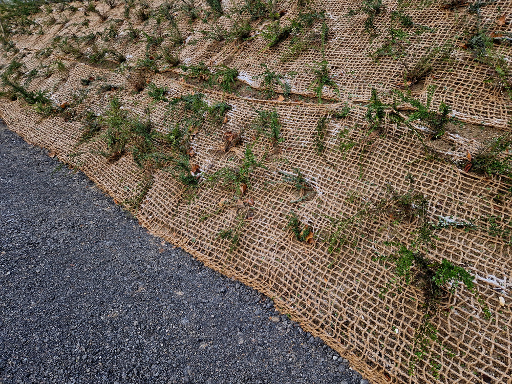 Burlap Fabric – EBP Inc